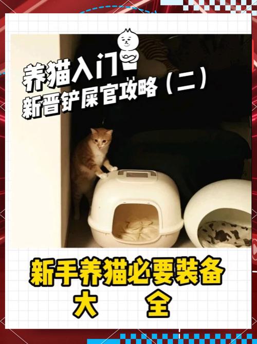 新手接猫需要注意什么图标