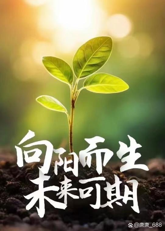 向阳而生的图片图标