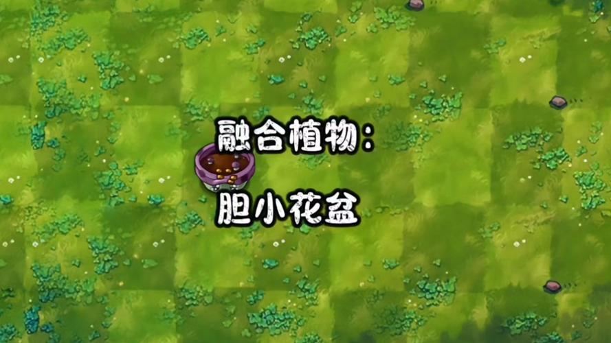 圆滚滚进化论鲜花破解图标