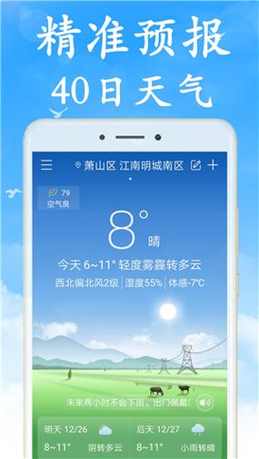 精准无广告的天气预报图标