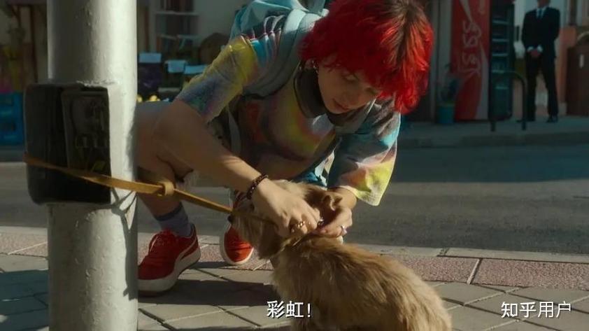 彩虹2022剧情介绍截图
