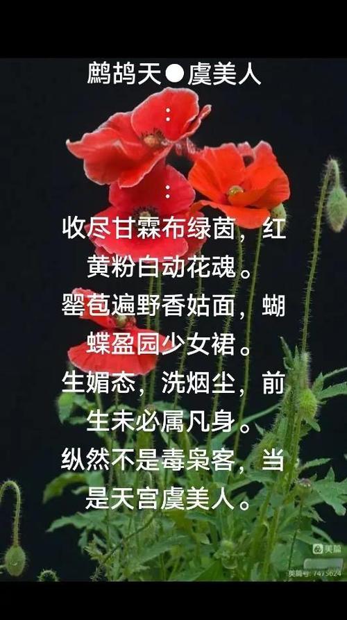 虞美人的情感图标