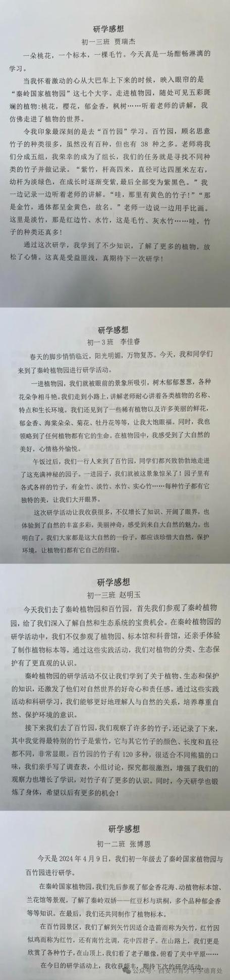 研学旅行心得体会图标