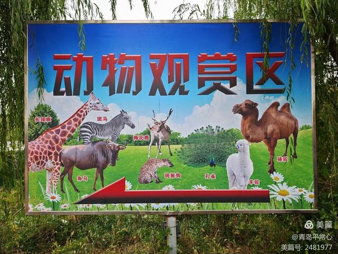 诸城动物园的视频