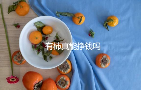 有柿赚钱苹果版图标