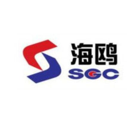 海鸥股份做什么的截图