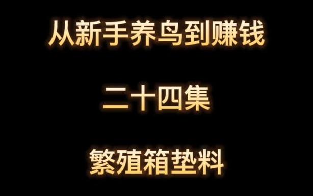 养鸟赚钱下载截图