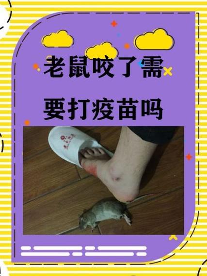老鼠会咬手机吗图标
