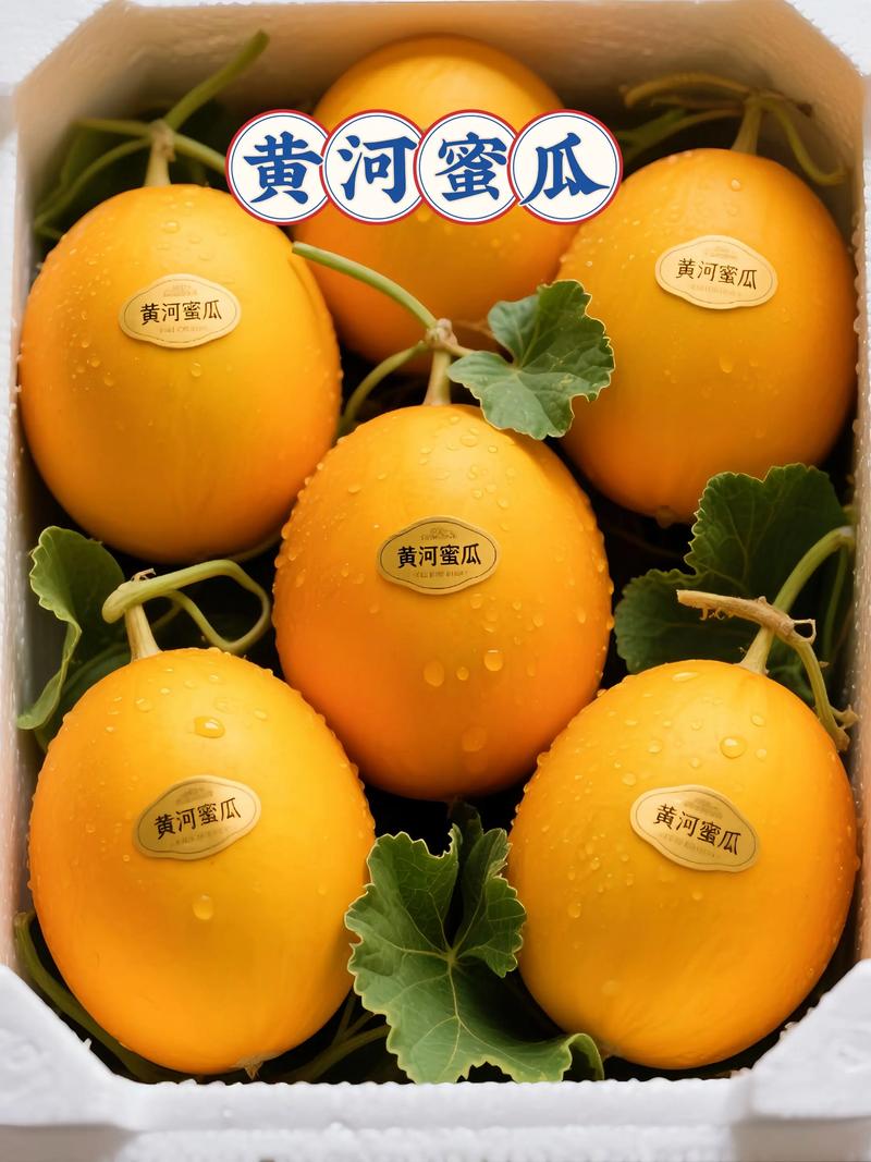 黄河蜜瓜几月吃最好图标