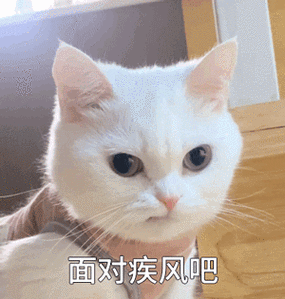 想杀我面对疾风吧bgm图标