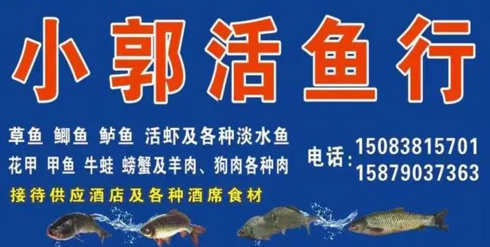 卖鱼的广告词图标