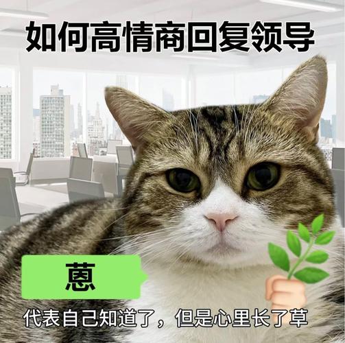 电脑怎么收起聊天页面截图