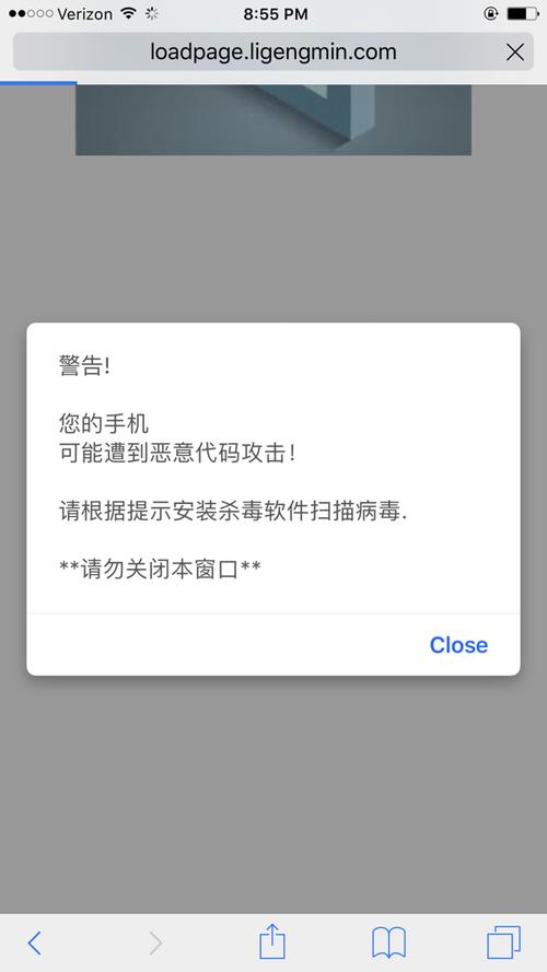 苹果手机浏览提示风险网站