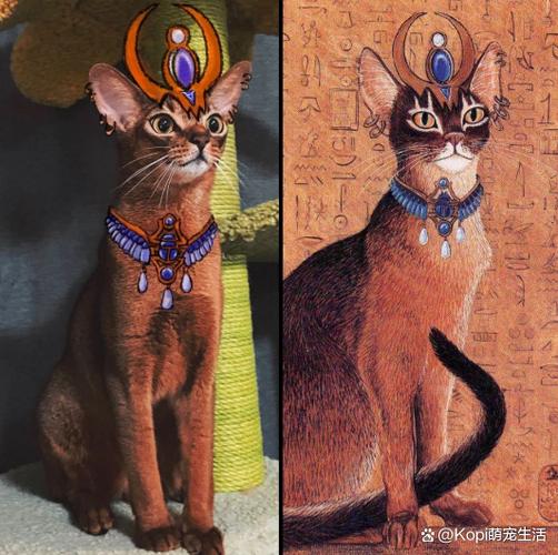 埃及猫吧图标