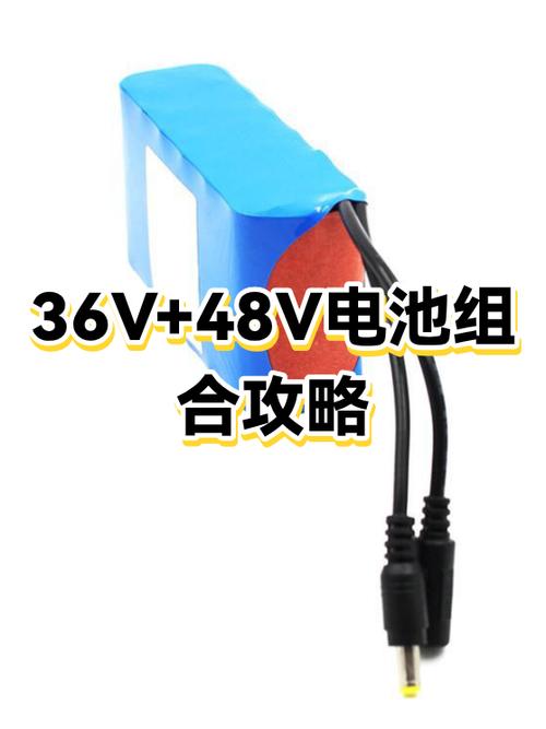 48v锂电池变36v方法游戏截图