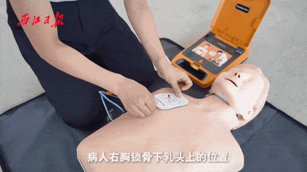 24小时动态心电图检测仪截图
