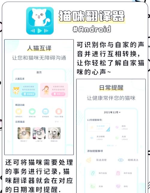 猫咪对话翻译器图标