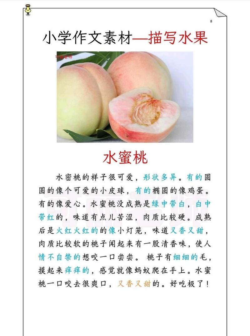 梦见树上有很多桃子是什么意思图标
