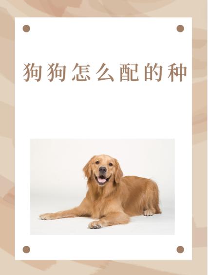 狗狗软件图标