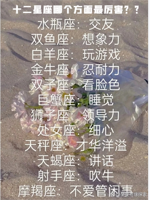 十二星座最强大的星座图标
