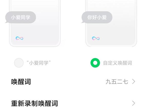 小爱同学改名字唤醒100个图标