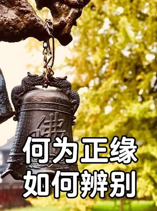 什么是正缘图标