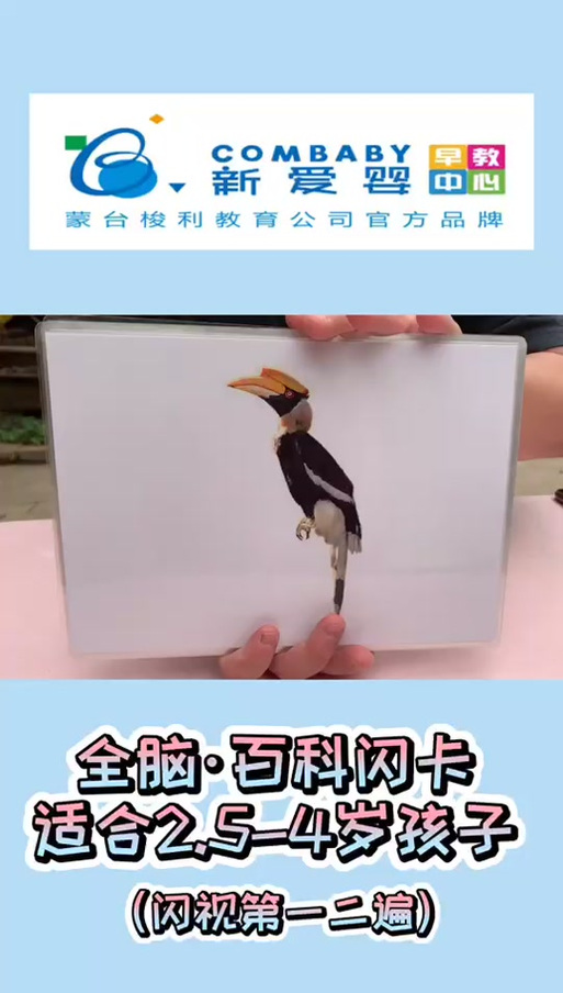 闪卡正确使用方法图标