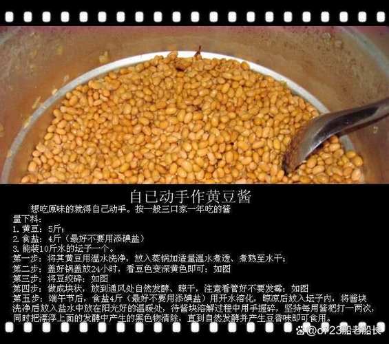 家常自制黄豆酱图标