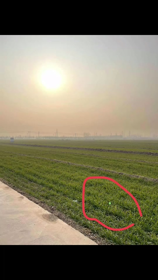 苹果手机拍太阳有绿点截图