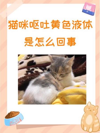 小猫咪呕吐是怎么回事图标
