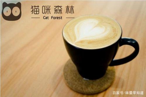 猫咪森林猫咖