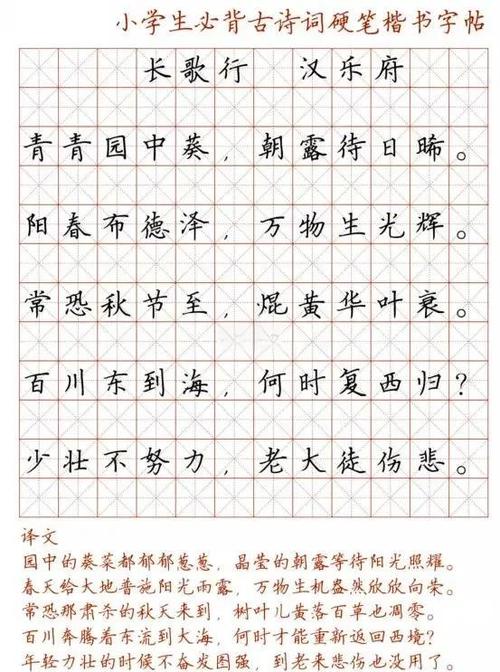 小学生钢笔字帖截图