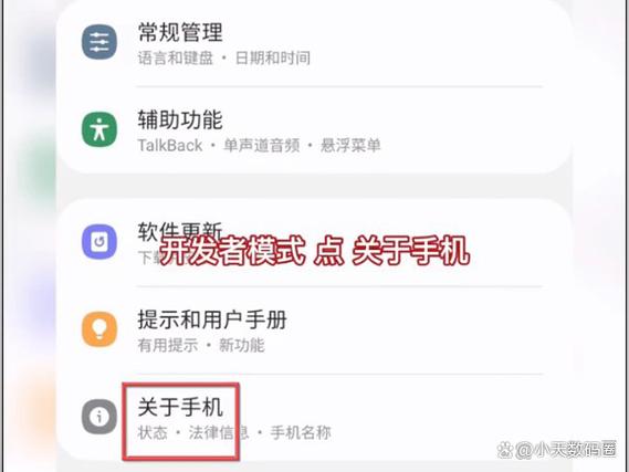 步步高如何进入开发者模式图标