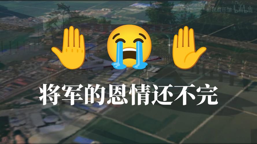 将军的恩情双手表情包gif