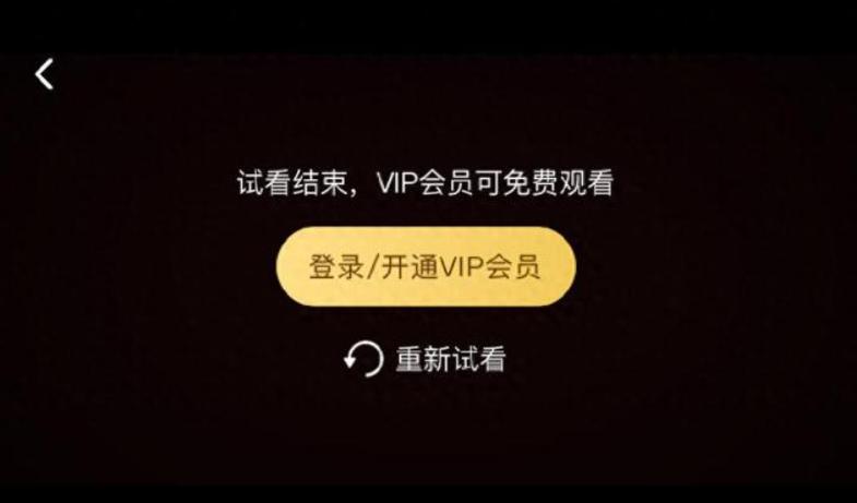 网络vip截图