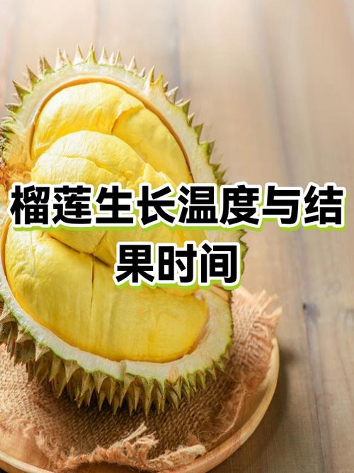 女生说吃榴莲幽默回复图标
