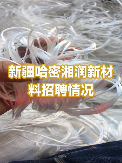 哈密更新最快的招聘网站图标