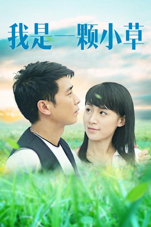 我是一棵小草第42集大结局图标