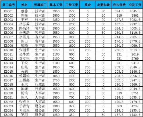 宝丰员工工资表图标