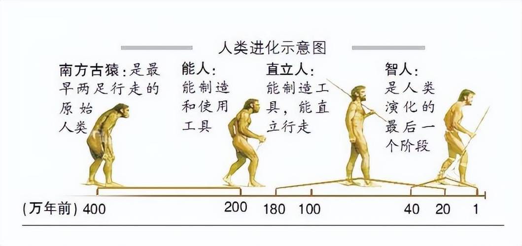 人类起源于哪里图标