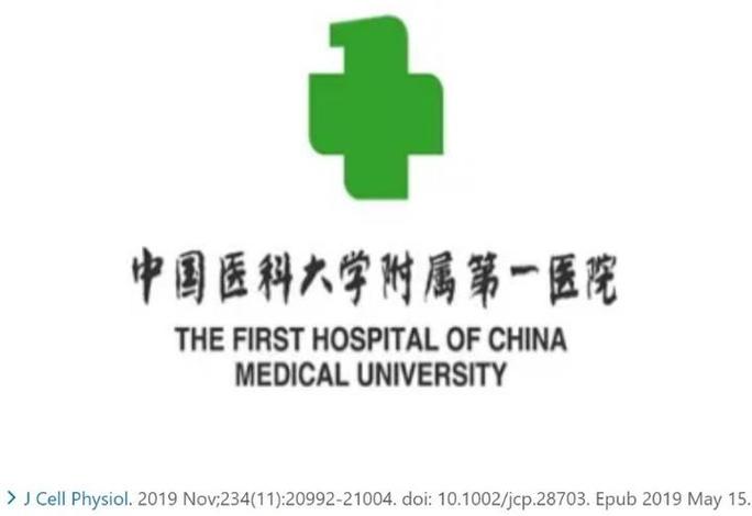 掌上中国医大一院网上挂号app图标