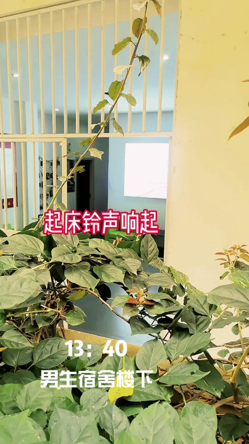 高中生起床铃声图标