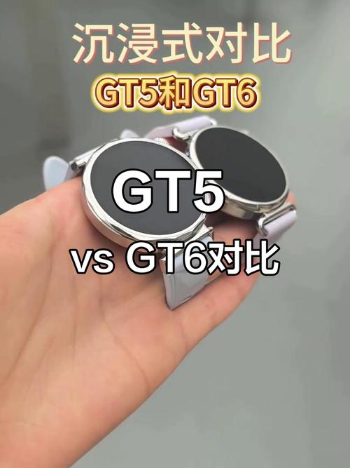gt5与gt6图标