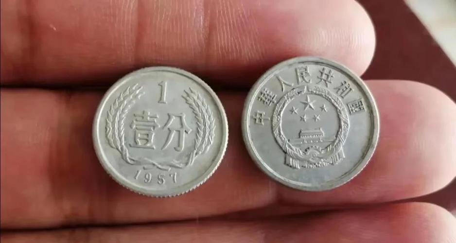 我收藏的都有哪一种