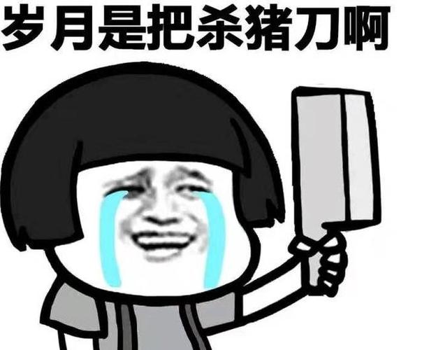 岁月是一把杀的猪刀图标