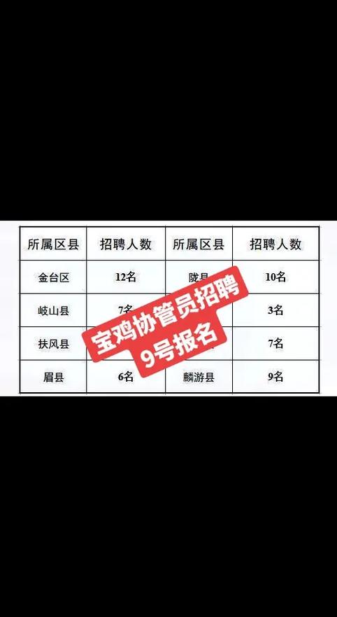 宝鸡第一人才招聘网最新招聘信息截图