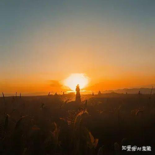 严重营养不良的女孩图标