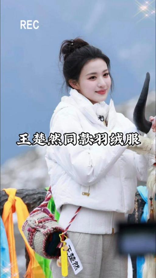 王楚然衣服同款图标