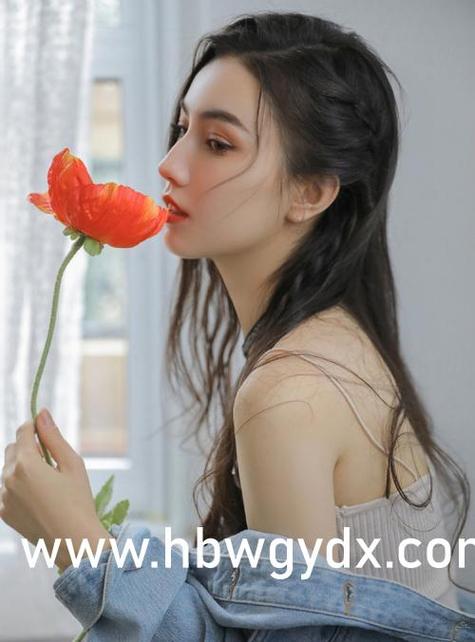 孤岛飞鹰电视剧全集观看图标
