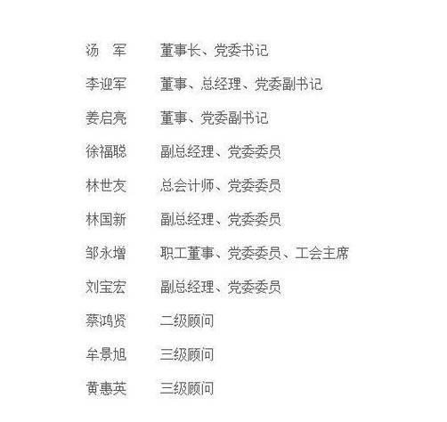 安徽电力中层干部名单截图